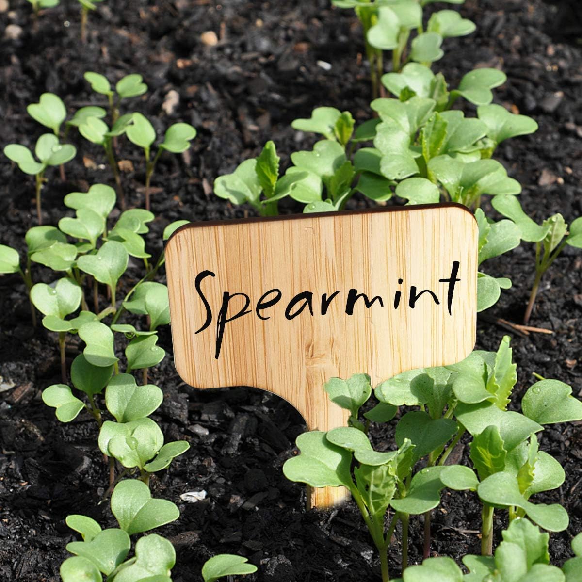 Homenote Bamboo Plant Labels 60Pcs Plant Tags for Seedlings T-Type ...